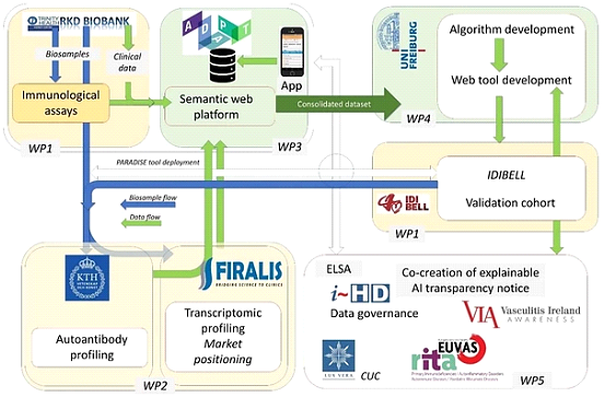 The Project – Paradise